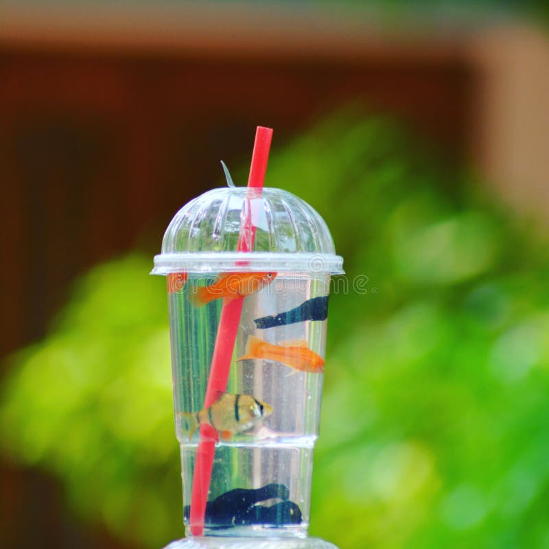 Closeup of a Plastic Cup with Fish Patterns Stock Illustration ...