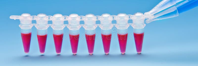 Samples for DNA Amplification Stock Image - Image of nucleic, biology ...