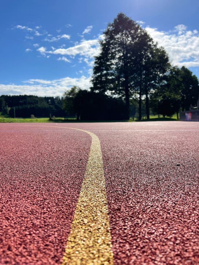 Closeup of a Playground Asphalt in a Park with Trees Stock Photo ...