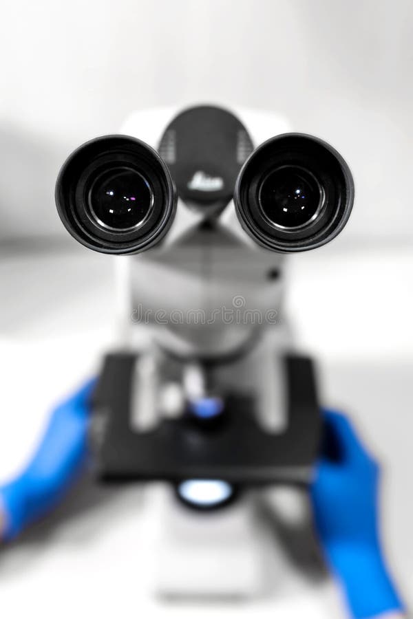 Closeup Point of View of Laboratory Assistant Looking through ...