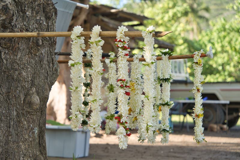 Closeup of Polynesian Flower Garlands. Stock Image - Image of blossoms ...