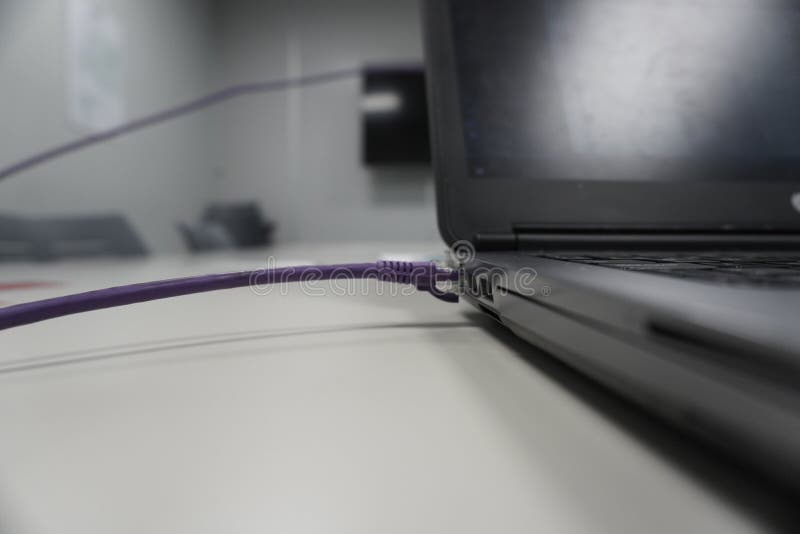 Closeup of a Purple Network Connection Cable To a LAN Port of Laptop ...