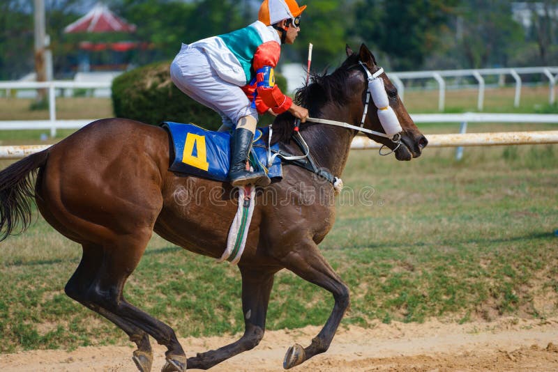 Closeup of Racing Horses Starting a Race Editorial Photo - Image of ...