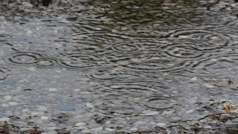 Closeup of Raindrops Falling into a Puddle. Stock Video - Video of rain ...