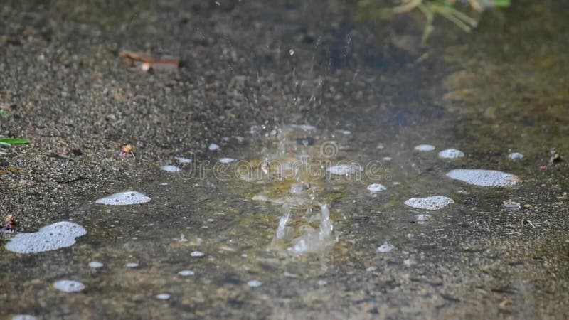 Closeup of Raindrops Splashing into a Puddle on the Ground in a Forest ...
