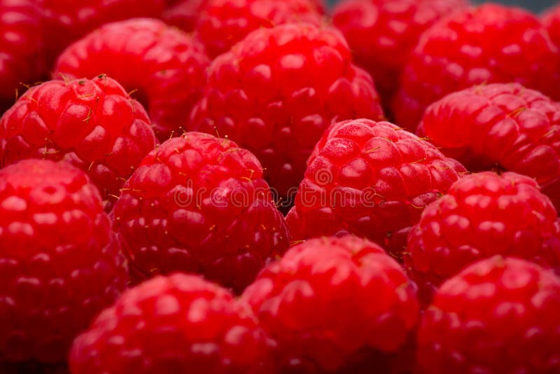Closeup of Raspberries stock image. Image of ingredient - 53932437