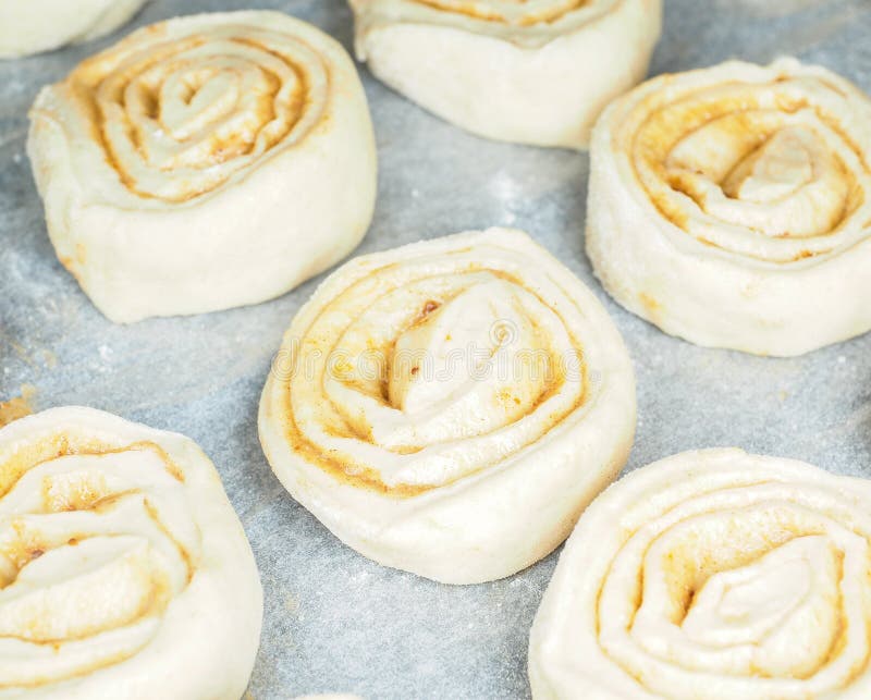 Closeup of Raw Cinnamon Buns on Baking Paper Stock Image - Image of ...