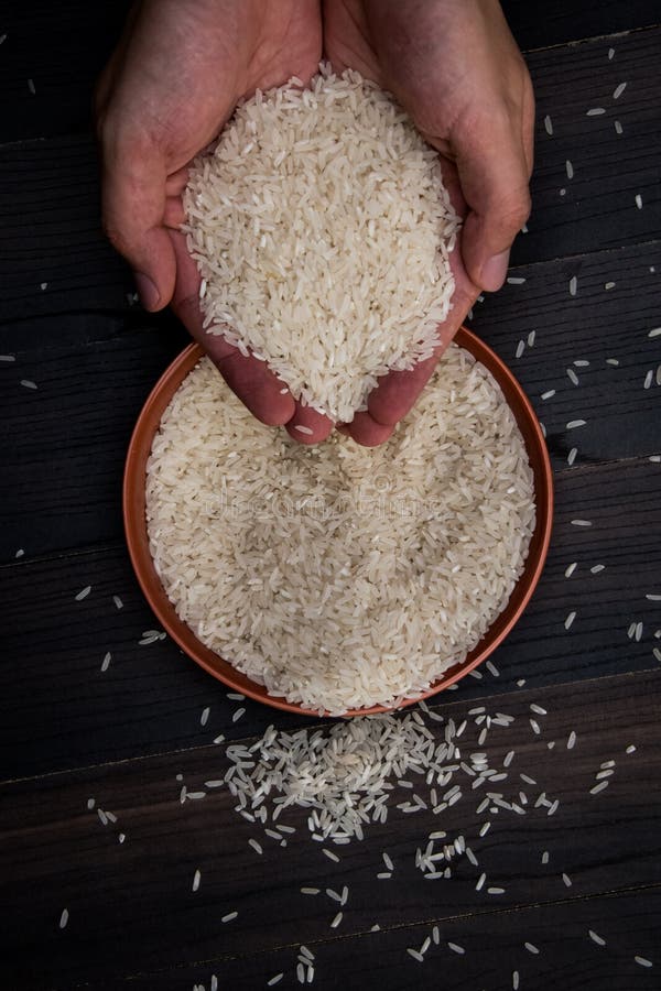 Closeup Raw Glutinous Rice in Hand of Man Stock Photo - Image of close ...