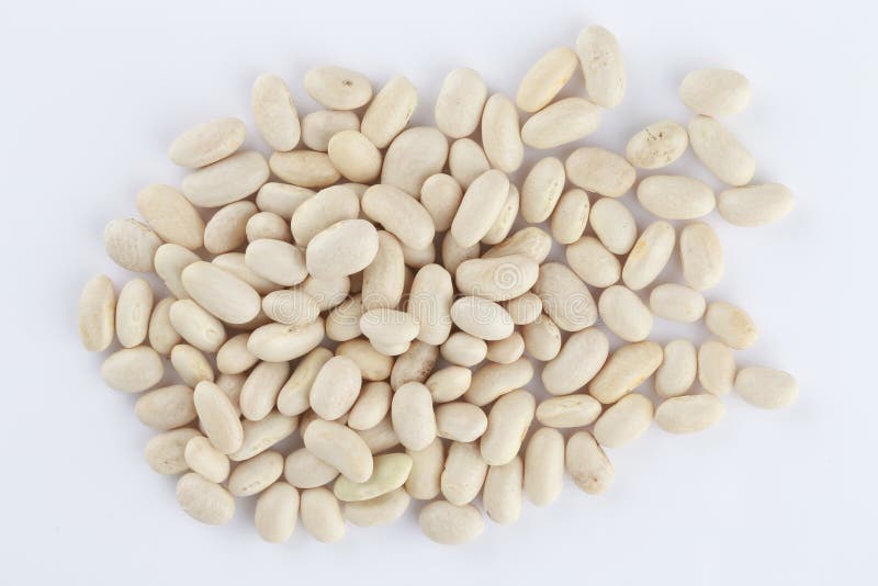 Closeup of Raw Navy Beans Under the Lights Isolated on a White ...