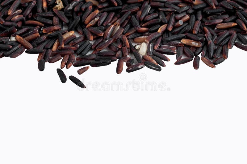 Closeup of Raw Purple Riceberry Rice Stock Image - Image of eating ...