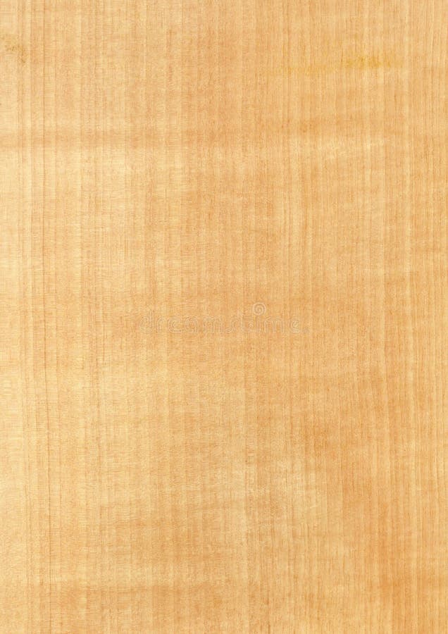 Closeup Real Natural Wood Grain of Veneer Background and Texture ...
