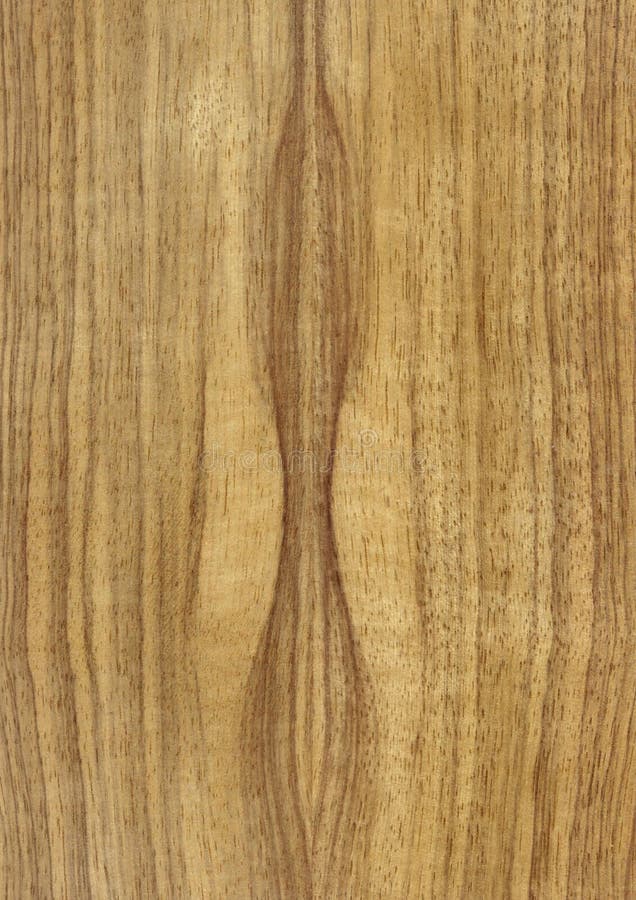Closeup Real Natural Wood Grain of Veneer Background and Texture ...
