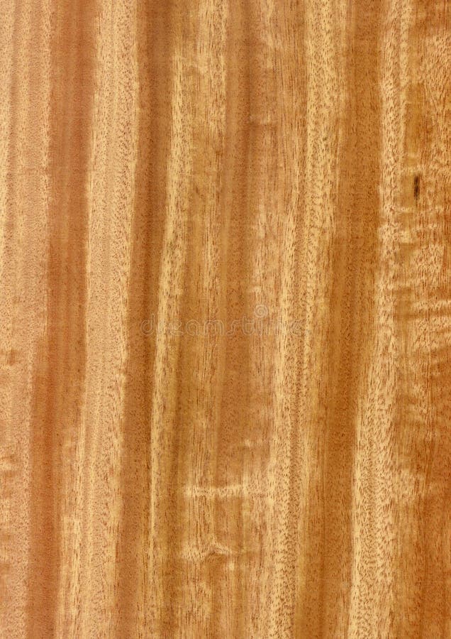 Closeup Real Natural Wood Grain of Veneer Background and Texture ...
