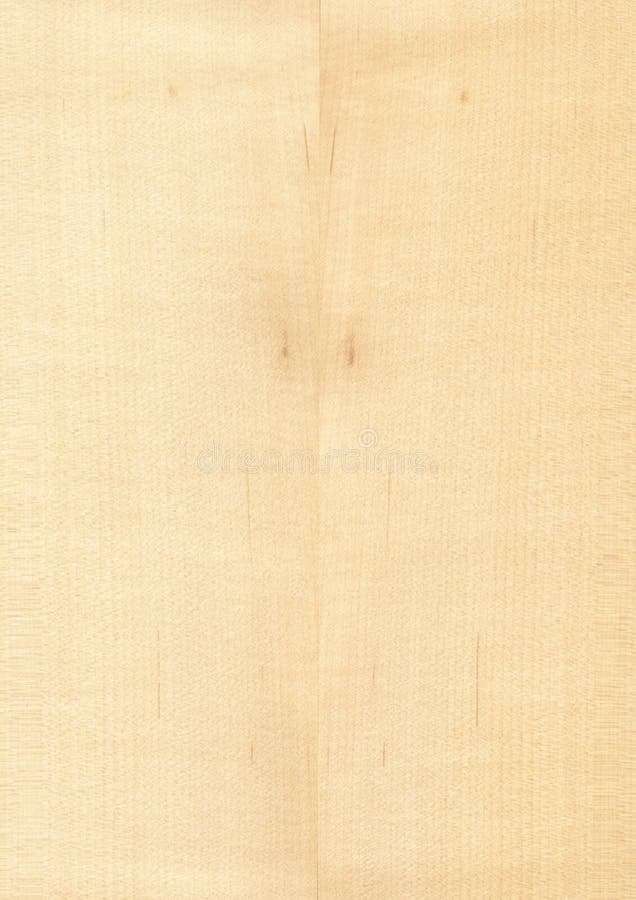 Closeup Real Natural Wood Grain of Veneer Background and Texture ...