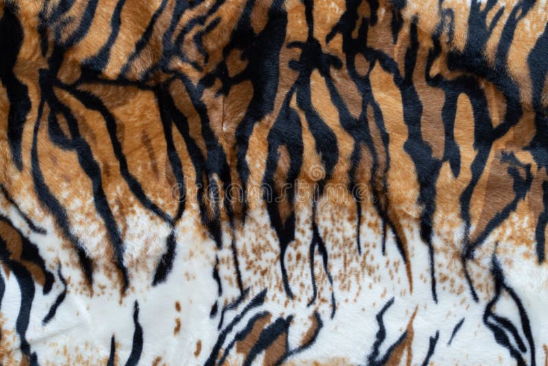 Tiger fur texture (real) stock photo. Image of trendy - 9604336