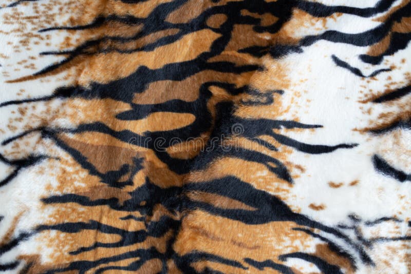 Tiger fur texture (real) stock photo. Image of trendy - 9604336
