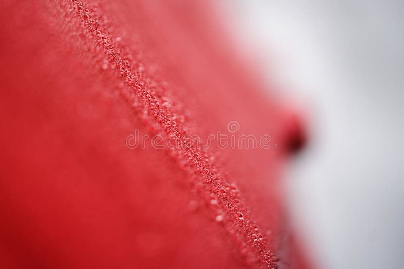 Closeup Red Car Paint Surface with Hydrophobic Ceramic Coating Stock ...