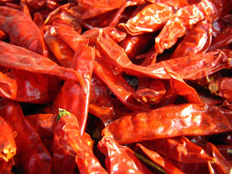 Red Chillies stock photo. Image of ingredient, cookery - 675104