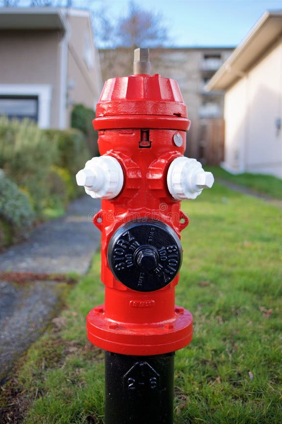 Closeup of a Red Fire Hydrant, a Vertical Shot Stock Photo - Image of ...