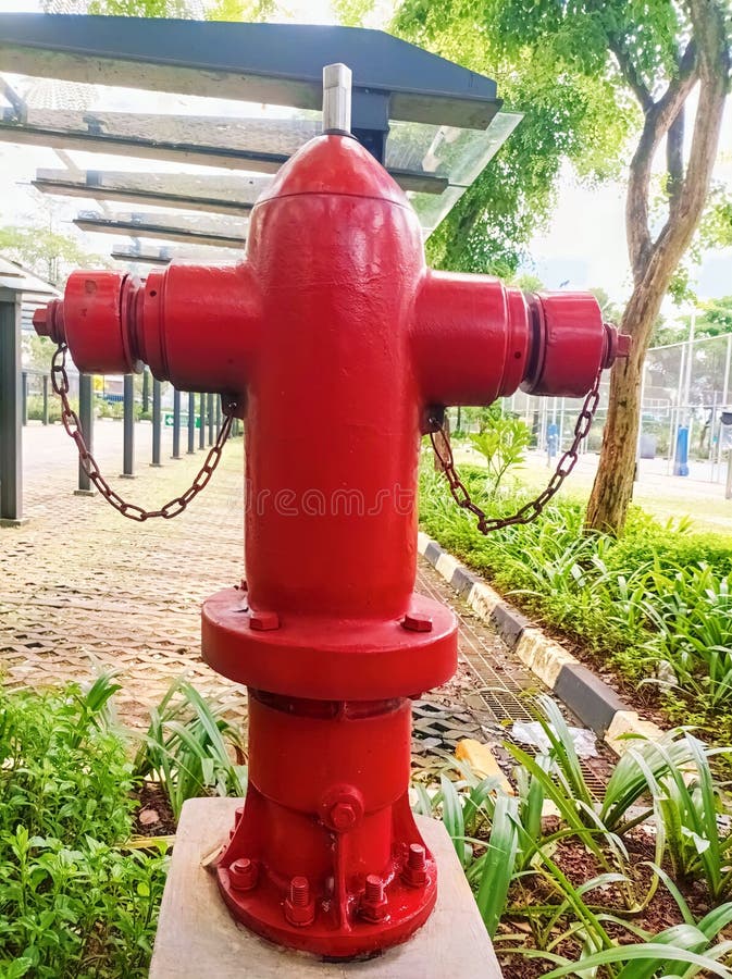 Closeup of Red Fire Hydrants after Repainting and Maintenance Stock ...