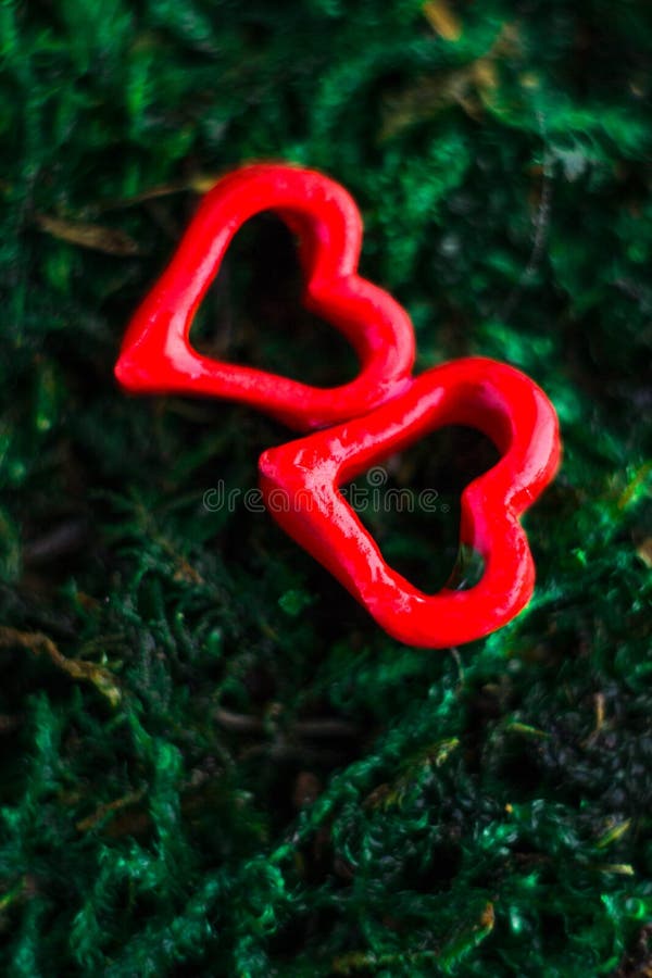 Red Moss Texture Stock Illustrations – 798 Red Moss Texture Stock ...