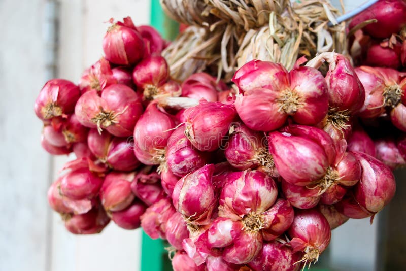 Closeup Red Onion Background in the Market Stock Photo - Image of facts ...