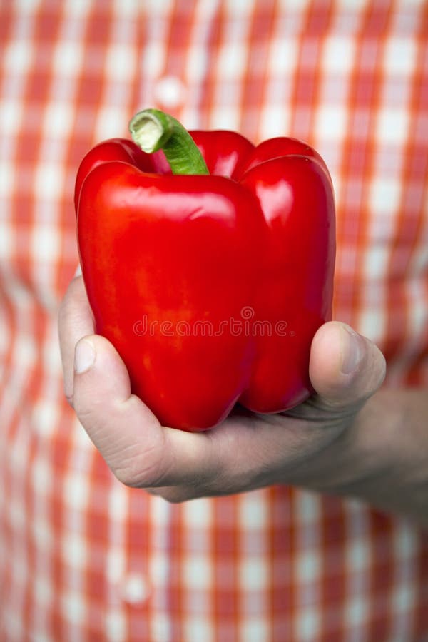 Closeup of red pepper stock photo. Image of kitchen, food - 59558934