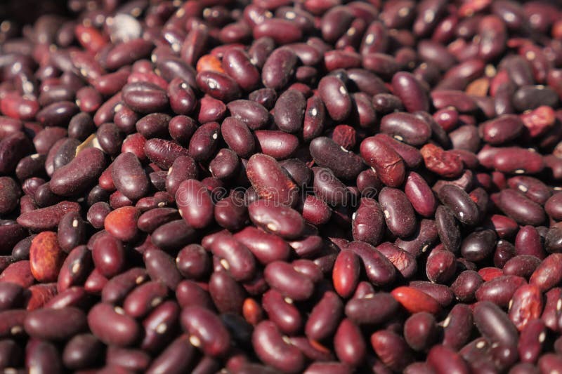 Closeup of Red Soy Beans Texture Background. Stock Photo - Image of ...