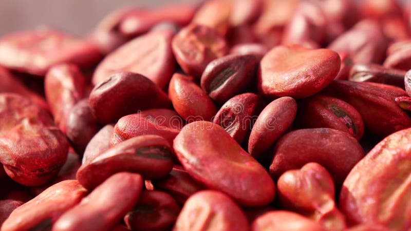 Closeup of Red Soy Beans Texture Background. Stock Video - Video of ...