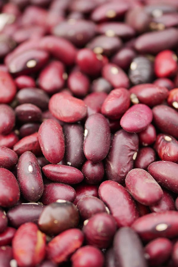 Closeup of Red Soy Beans Texture Background. Stock Image - Image of ...