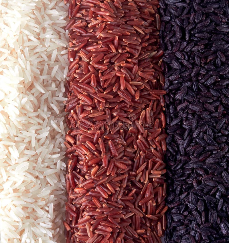 Closeup rice mix stock image. Image of berry, brown - 145234827