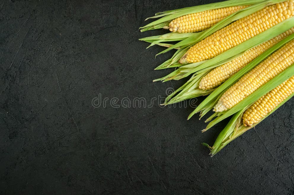 Closeup Ripe Fresh Corn on Dark Background Stock Image - Image of crop ...