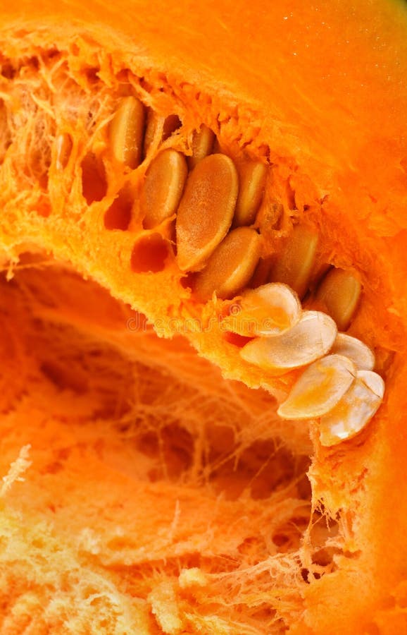 Closeup of ripe pumpkin stock photo. Image of harvest - 45117120