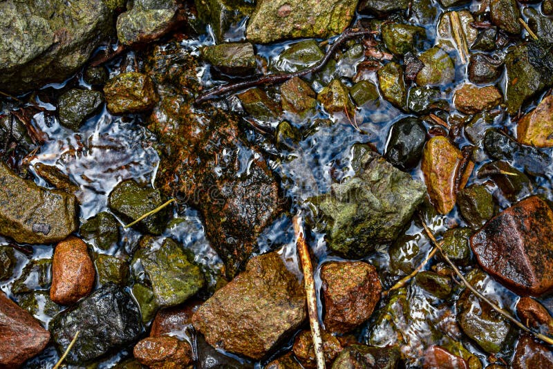 Closeup of Rocks in a Creek. Background and Textures Stock Image ...