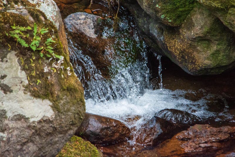 Closeup of the Rocks Overgrown with Moss in the Stream Stock Photo ...