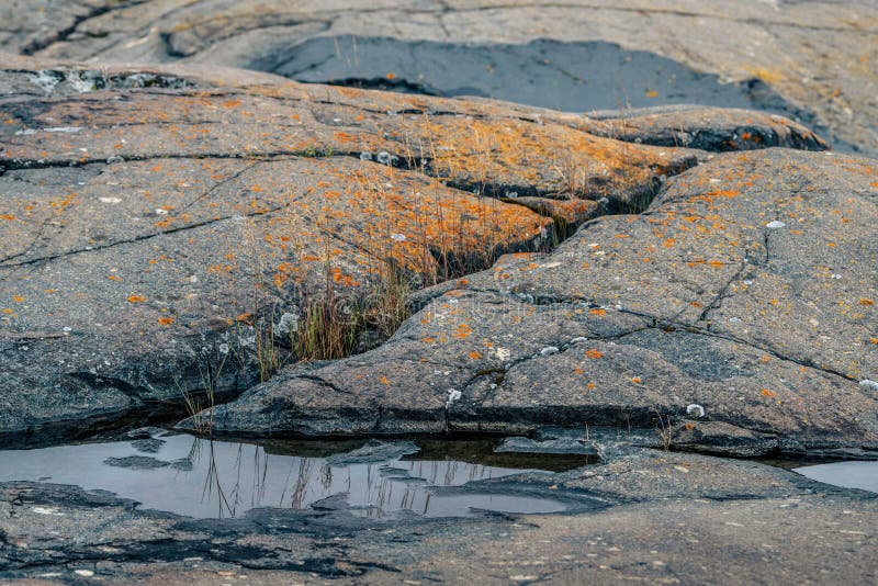 Closeup of Rocks and a Puddle Stock Image - Image of geology, surface ...
