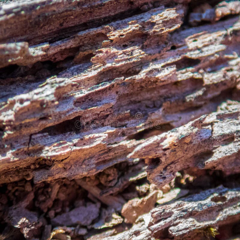 Closeup or a Rocky Texture with Breaches Stock Illustration ...