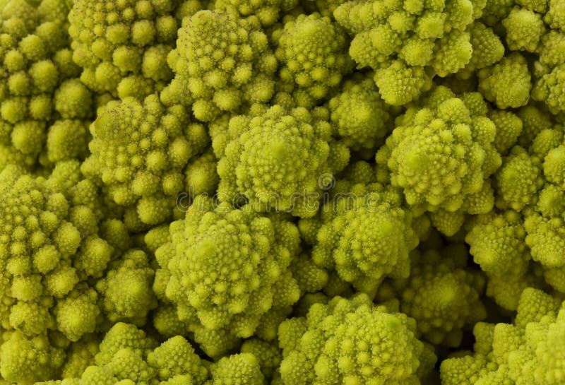 Closeup of Romanesco Cabbage Stock Photo - Image of broccoli, green ...