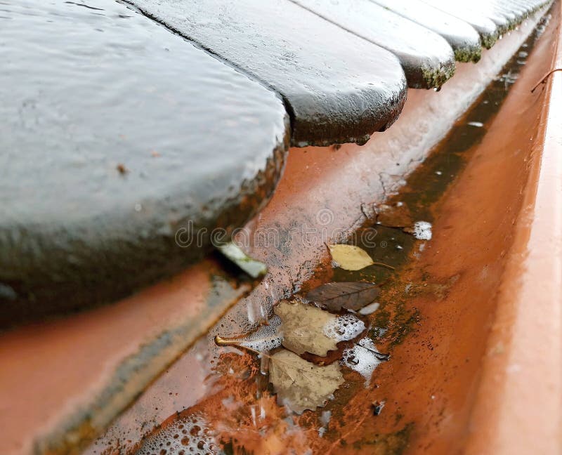 Mess in the roof gutter stock image. Image of tile, clogged - 262385221