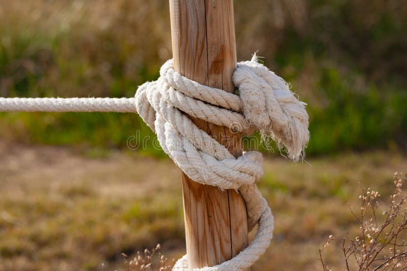 Closeup of a Rope Tied with a Wooden Stick Stock Image - Image of brown ...