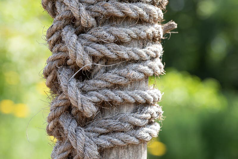 Closeup of Ropes Tied Around a Wooden Pole Stock Photo - Image of knot ...