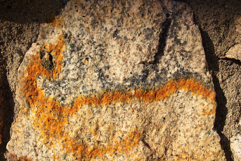 Close-up of a Textured Rock with Mineral Patterns. Stock Image - Image ...