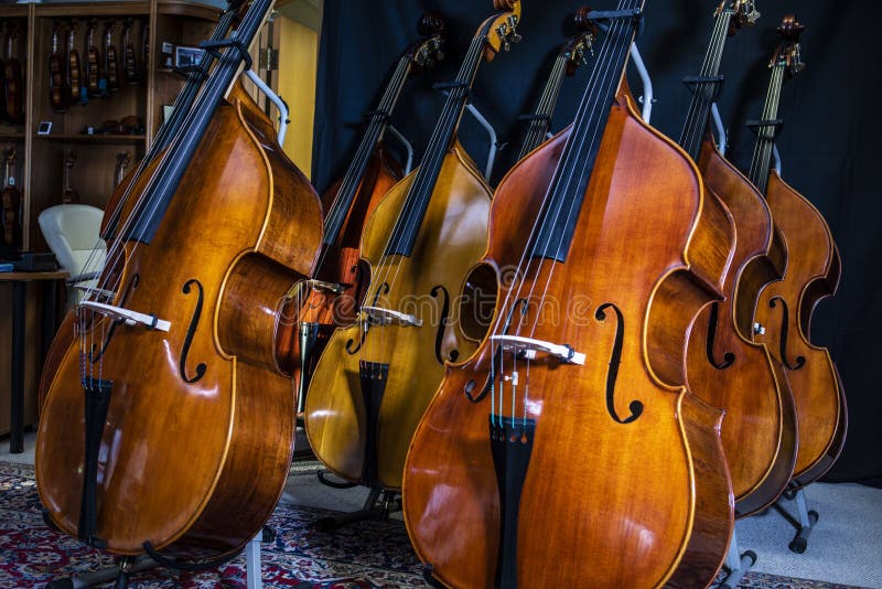 Closeup of Row of Double Basses Resting Against Dark Background Stock ...