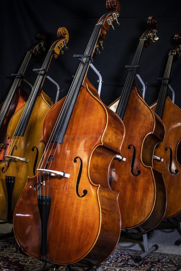 Closeup of Row of Double Basses Resting Against Dark Background Stock ...
