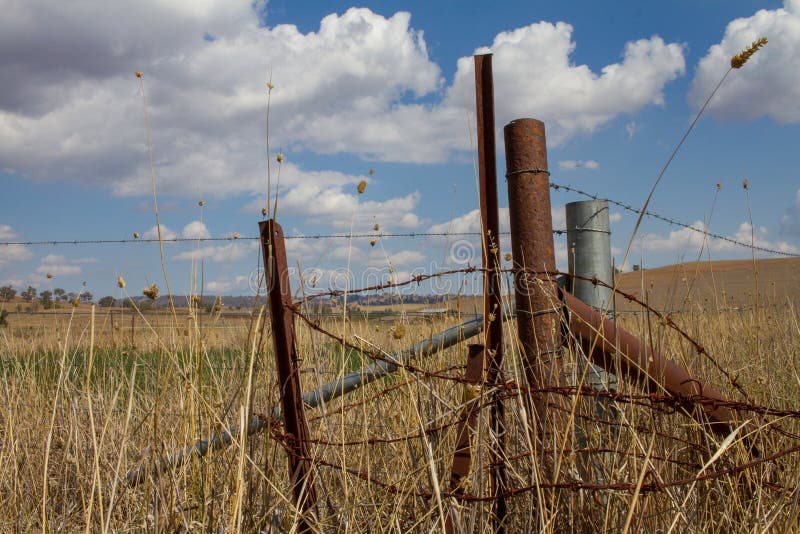 Closeup of Rusty Pipes and Dry Vegetation in a Meadow. Stock Photo ...