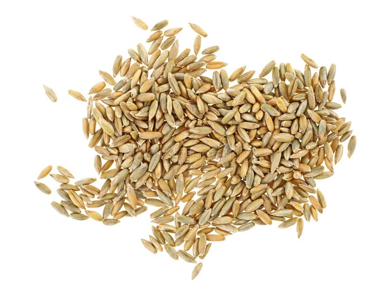 Closeup of Rye Grain Isolated on White Background, Top View Stock Photo ...