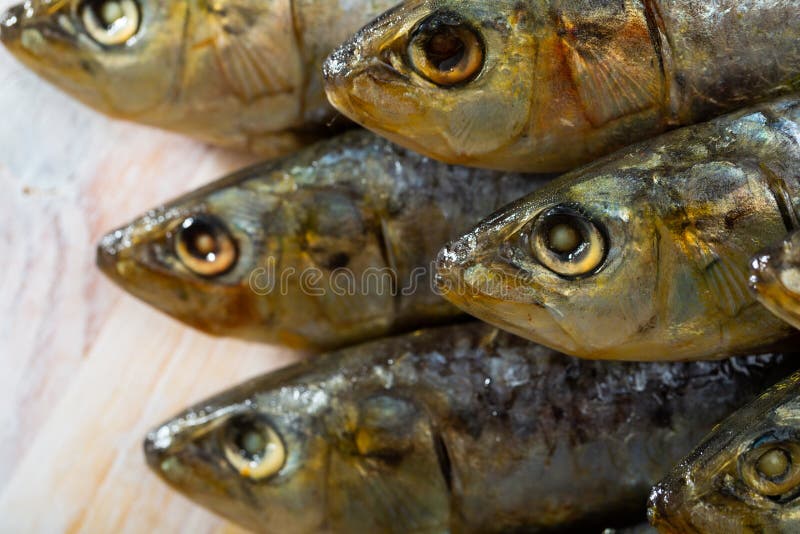 Closeup of salted sardines stock image. Image of healthy - 194625527