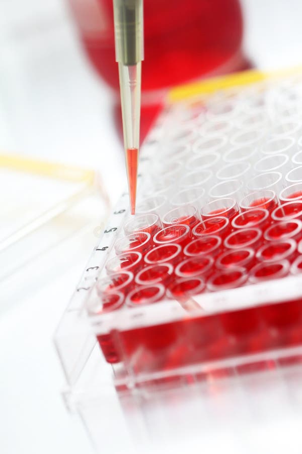 Closeup on Sample Being Dropped into Well Plate in Laboratory - Series ...