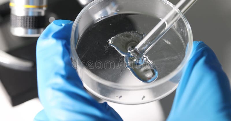 Closeup of Sample in Petri Dish and a Gel-like Clear Liquid Stock Video ...