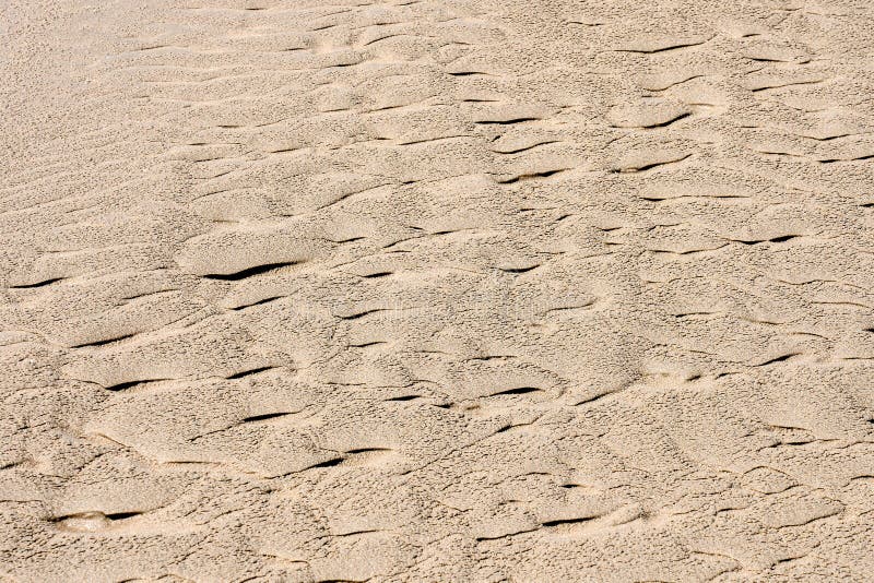 Closeup Sand Pattern of a Beach in the Summer Stock Image - Image of ...